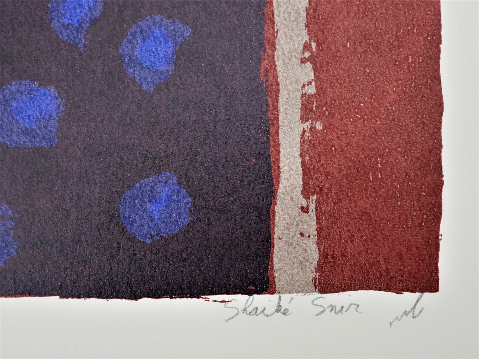 Shaike SNIR Relics - Original Signed Screenprint, Vibrant Abstract Art ...