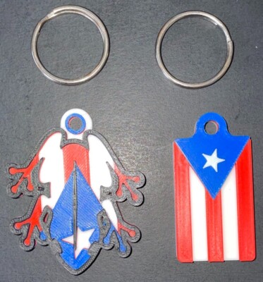 Rare!!! Puerto Rico Taino Pride Coqui & Flag Key Chain X 2 New | eBay