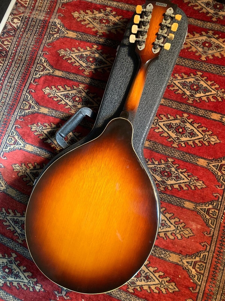 1978 Epiphone Mandolin A5 type MM-30S Blue Label Matsumoku Japan free ...