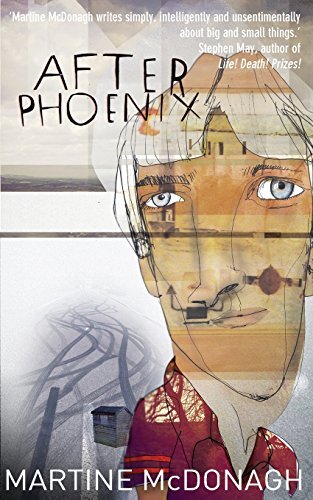 After Phoenix: The absurdity of fam... by McDonagh, Martine Paperback ...