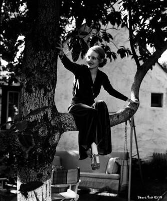 Bette Davis sitting on a high tree branch 1934 Old Movie Photo | eBay ...