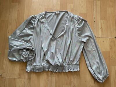 PEACH silver Iridescent Long Sleeve Top Size 2X Women Plus Curvy Casual ...