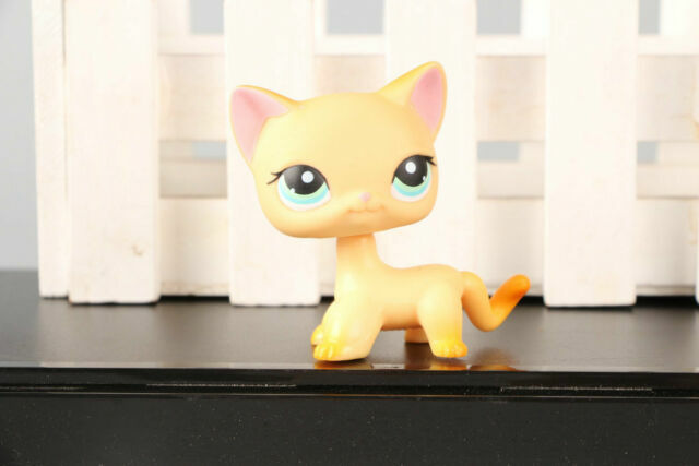 LPS #339 Orange Short Hair Cat Brooke Hayes Blue Eyes for sale online ...