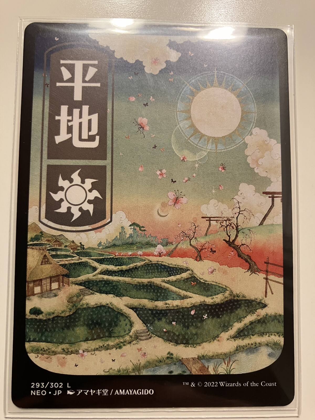 MTG Ukiyo-e Art Kamigawa Neon Dynasty Basic Lands Full Set NON-FOIL NM ...