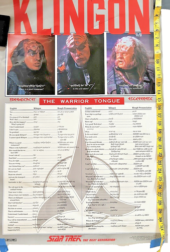 Poster Star Trek 21 x 31 Klingon the warrior tongue | eBay