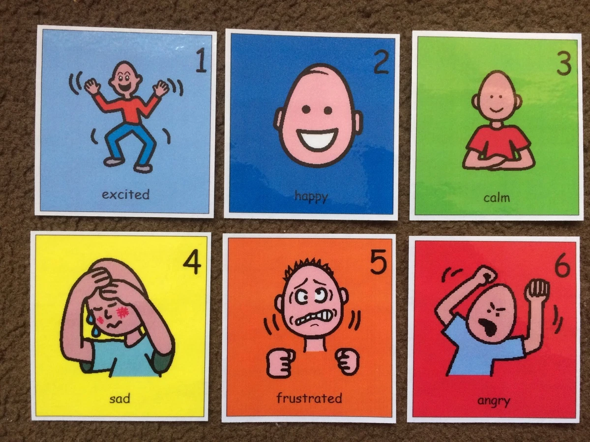 Calm Body Boardmaker