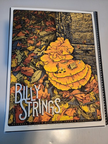 Billy Strings Rochester NY 2022 by Dan Dippel M/NM | eBay