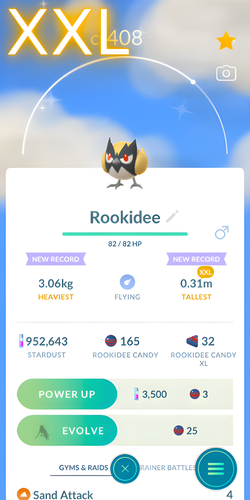 Shiny Rookidee XXL | Trade Registered | Pokemon Trade Go | eBay