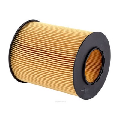 New Genuine RYCO Air Filter - Round #A1673 | eBay Australia