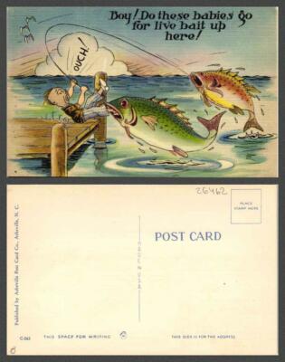 VINTAGE POSTCARD TOPIC: Fishing | eBay