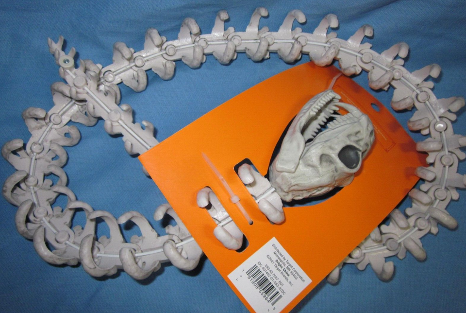 Two 40" Skeleton Snakes from Targets Hyde and Eek! Boutique, Halloween ...