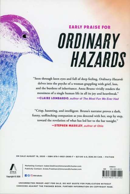 Ordinary Hazards Anna Bruno Paperback Novel Arc for sale online | eBay