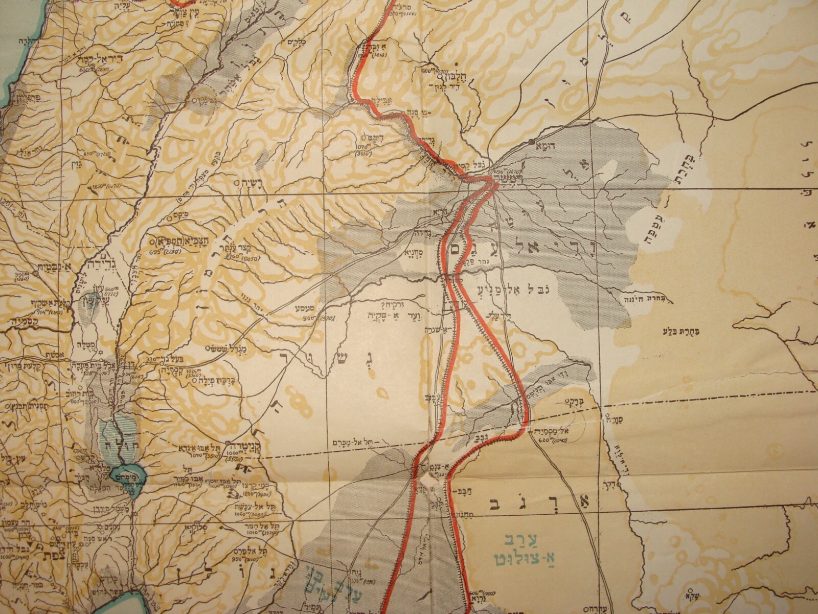 RARE Jewish 1918 Palestine Israel Map NY | Grelly UK