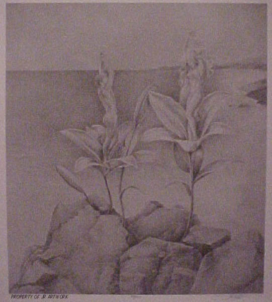 Jon Reich Art Gallery Horizon print s & n male female nudes | eBay