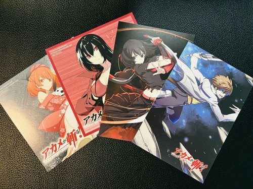 Akame Ga Kill Bonus | eBay