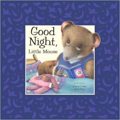 Goodnight Little Mouse by Steer, Dugald Hardback Book The Fast Free ...