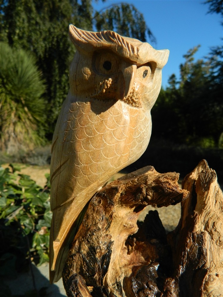 Wooden Owl Carving - Horned Owl on Root Wood | eBay UK
