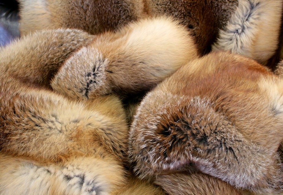 088 Red fox fur throw from European Red Fox Real Pelt Blanket Genuine ...