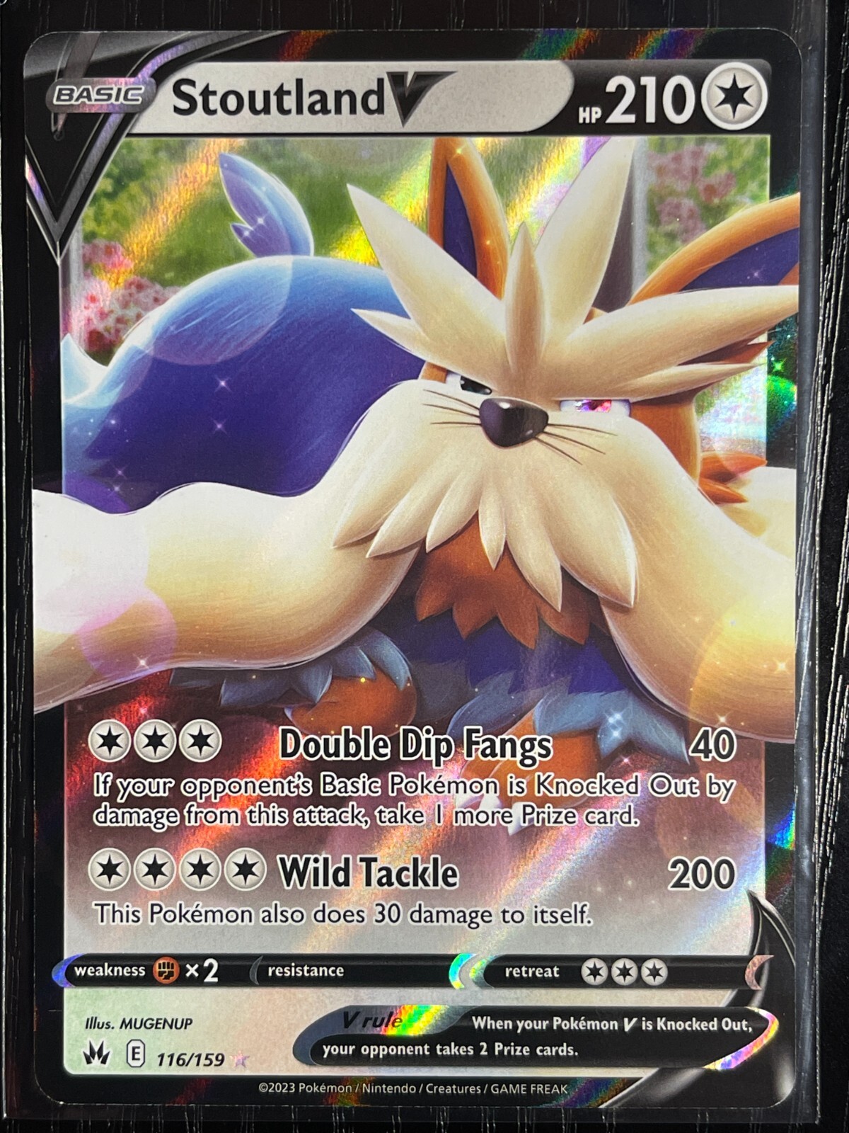 Stoutland V 116/159 (Ultra Rare0 Crown Zenith Near Mint Pokemon TCG | eBay