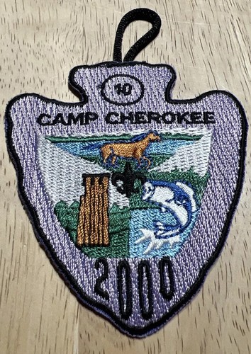 Vintage 2000 BSA Boy Scouts Of America Camp Cherokee 10 Patch | eBay