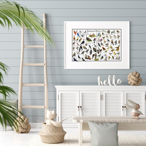 Backyard Birds of Ohio Bird Identification Nature Poster - Bird ID ...