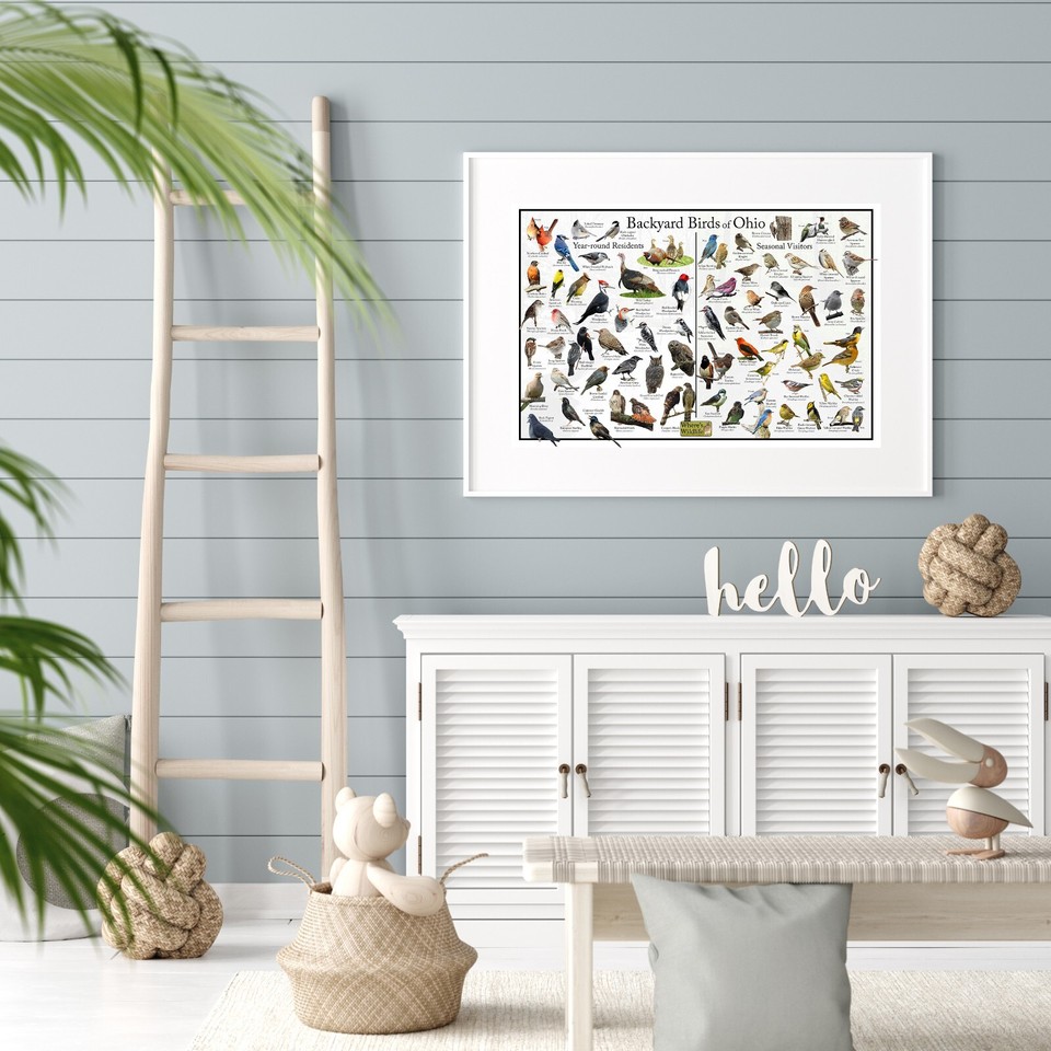 Backyard Birds of Ohio Bird Identification Nature Poster - Bird ID ...