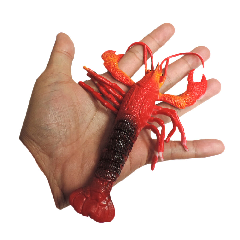 3 Pack Rubber Squishy Crawfish Crawdad Crayfish Mudbug Lobster for sale ...