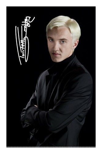 Tom Felton Draco Malfoy Signed A4 Photo Print Harry Potter Autograph ...