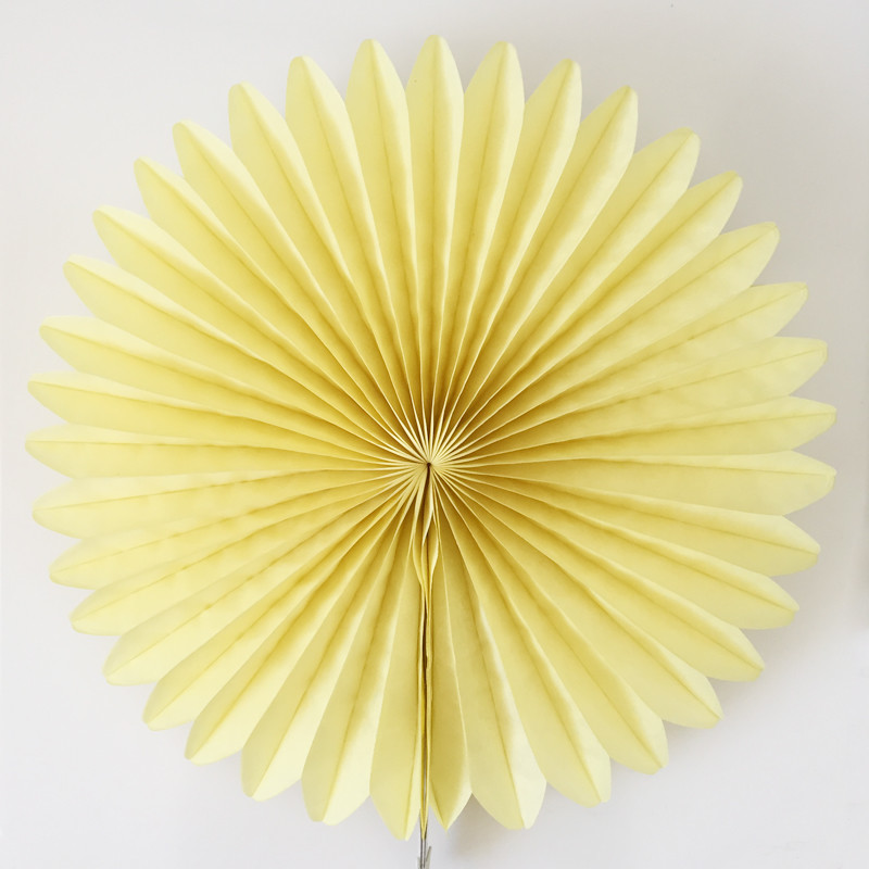 Tissue Paper Flower Hanging Fan Wedding Birthday Garland Party Decor ...