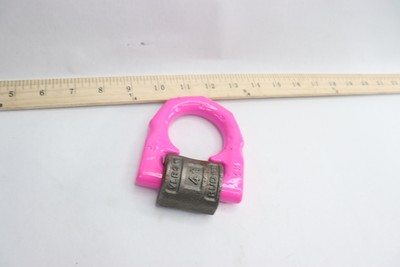 Rud Chain Hoist Ring 180 Pivot 4T Load Capacity Pink VLBS | eBay