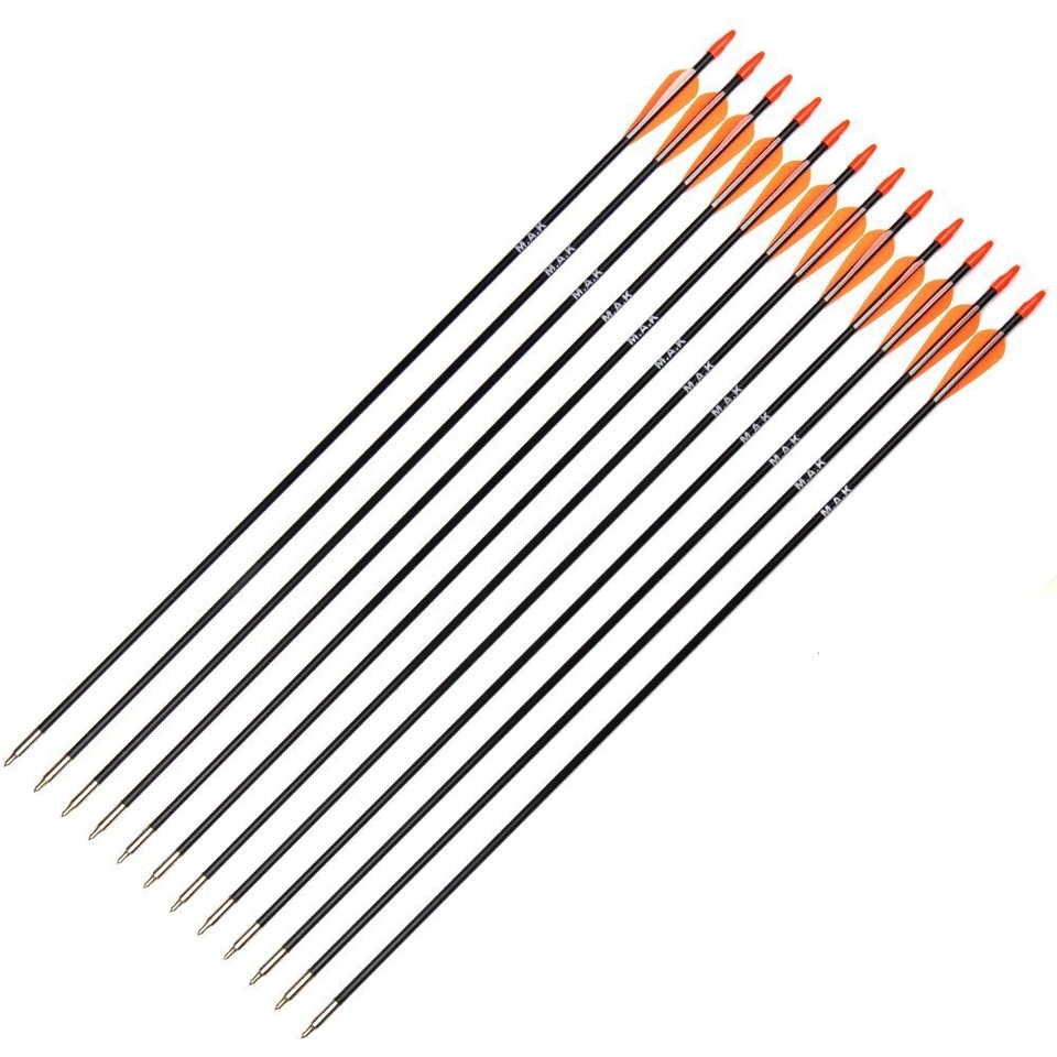 12Pcs Archery 31" Fiberglass Arrows +/or Quiver for Compound Recurve ...