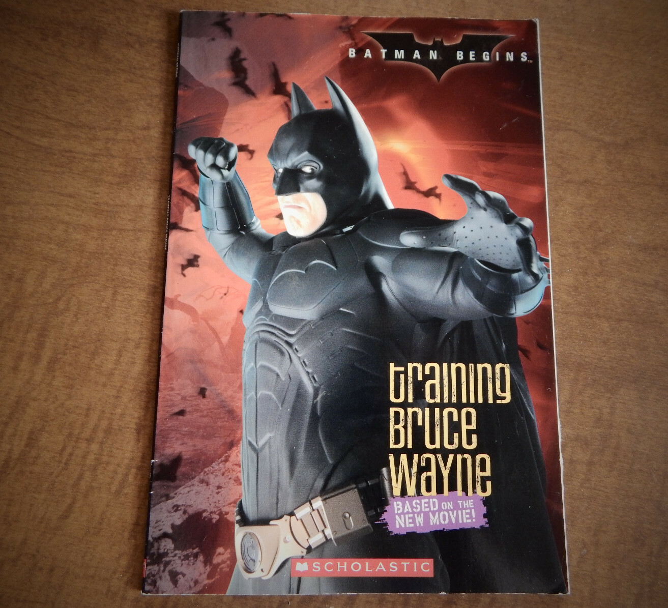 Batman Begins Bruce Wayne Training