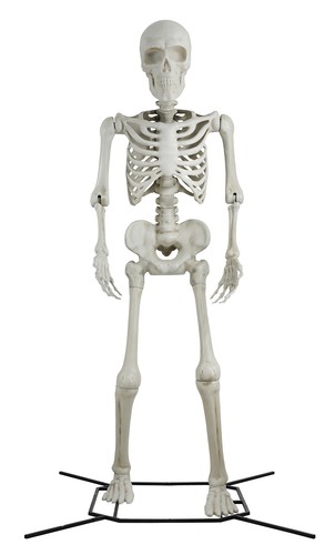Steve the Poseable 10' Skeleton Decoration by Way To Celebrate ...