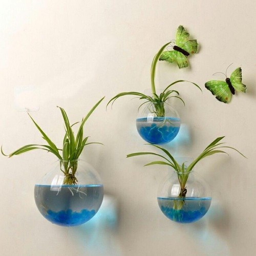 Wall Mounted Fish Tank Bowl Bubble Aquarium Hanging Bet Goldfish ღ | eBay