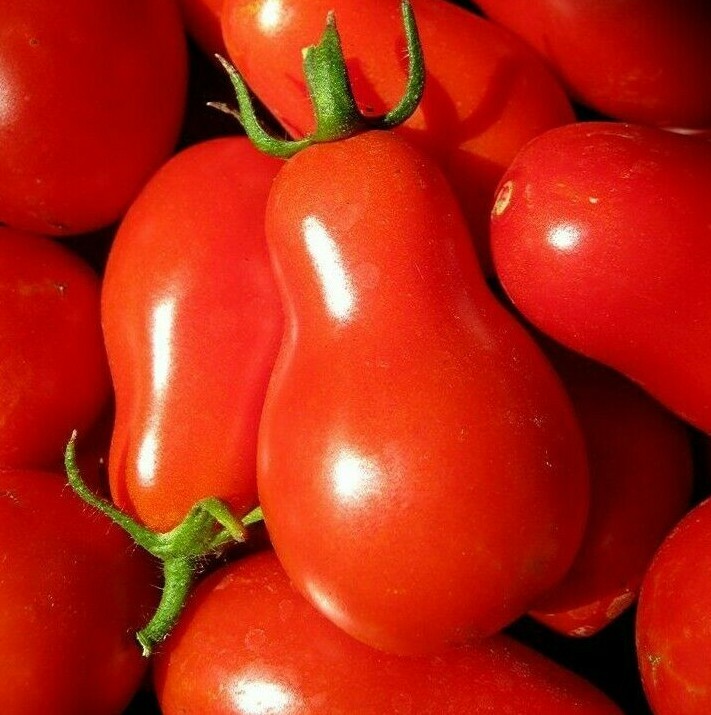 RED PEAR TOMATO SEEDS 100+ GARDEN vegetables SAUCE salad NON-GMO FREE ...