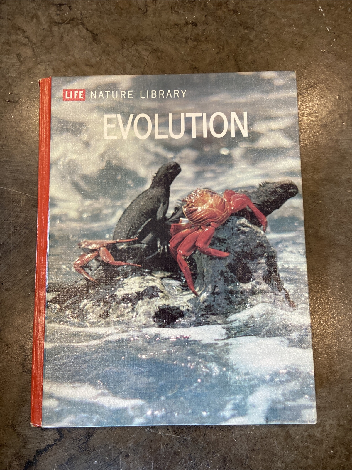 Life Nature Library : Evolution (Ruth Moore & Time Editors 1962 ...