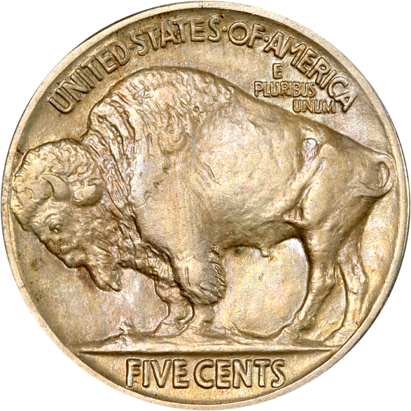 1916-P Buffalo Nickel Great Deals From The Executive Coin Company | eBay
