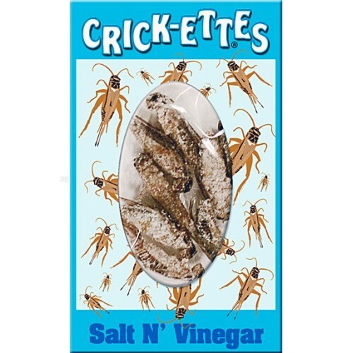 CRICKETS CRICK-ETTES salt and vinegar flavor! edible insects bred for ...