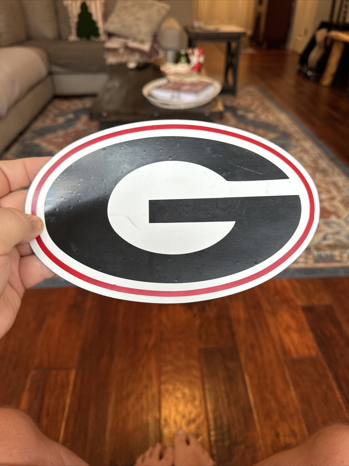 University of Georgia Oval Super G 10" Magnet Gameday Tailgate Bulldog ...