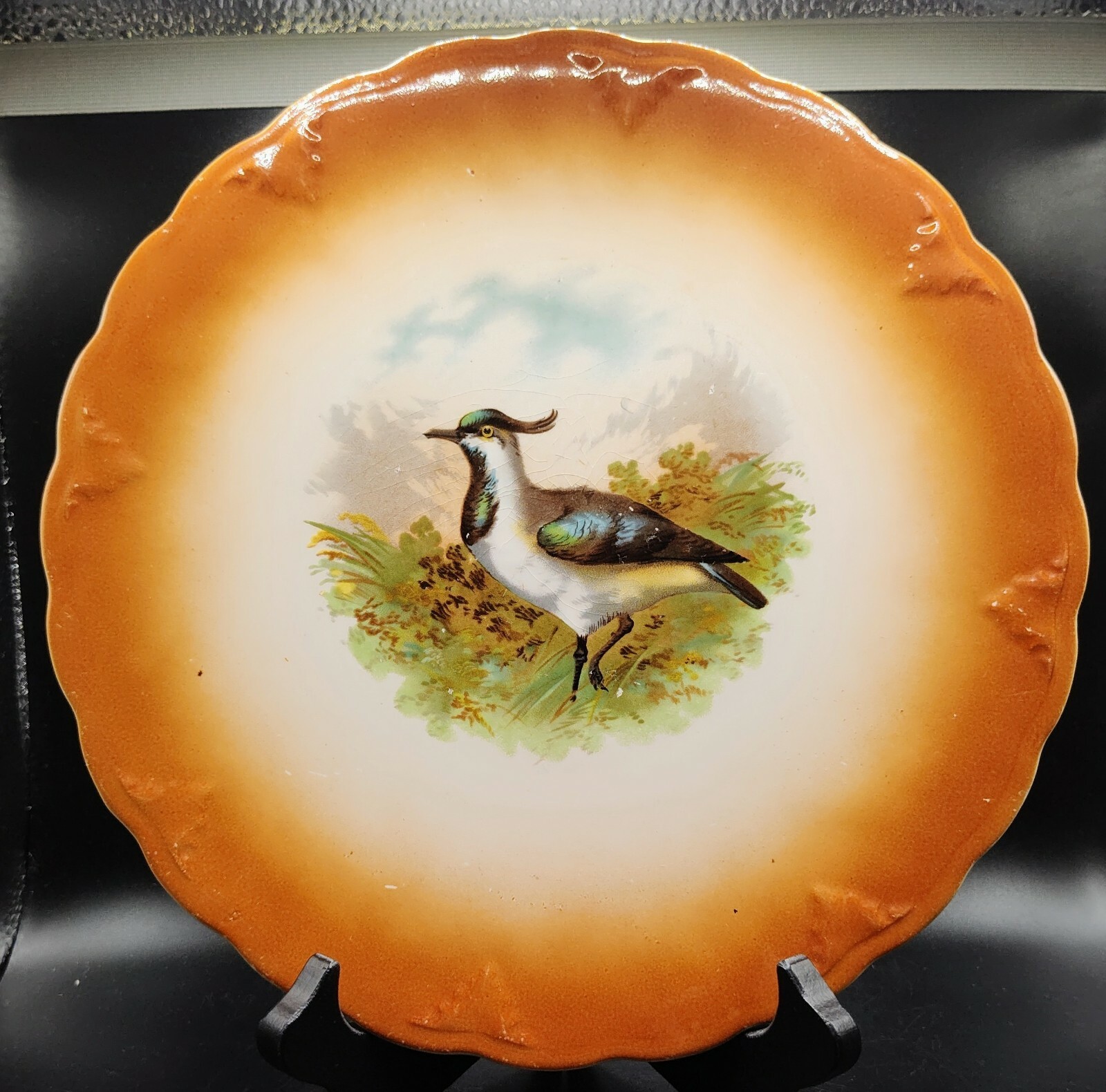 ANTIQUE !! GAME BIRD ( SNIPE ) PLATE - PETRUS REGOUT & CO MADE in ...