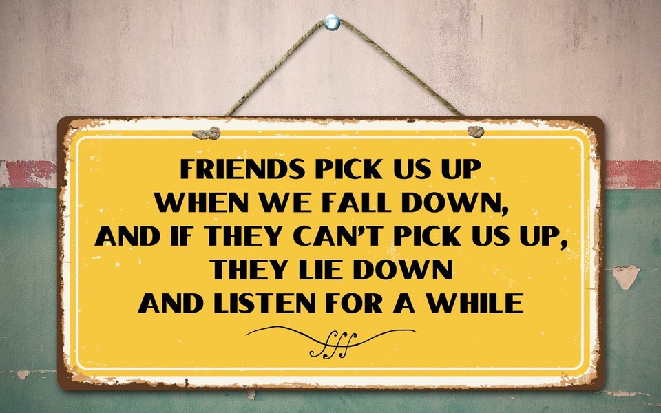 1767HS Friends Pick Us Up When We Fall Down 5"x10" Novelty Sign | eBay