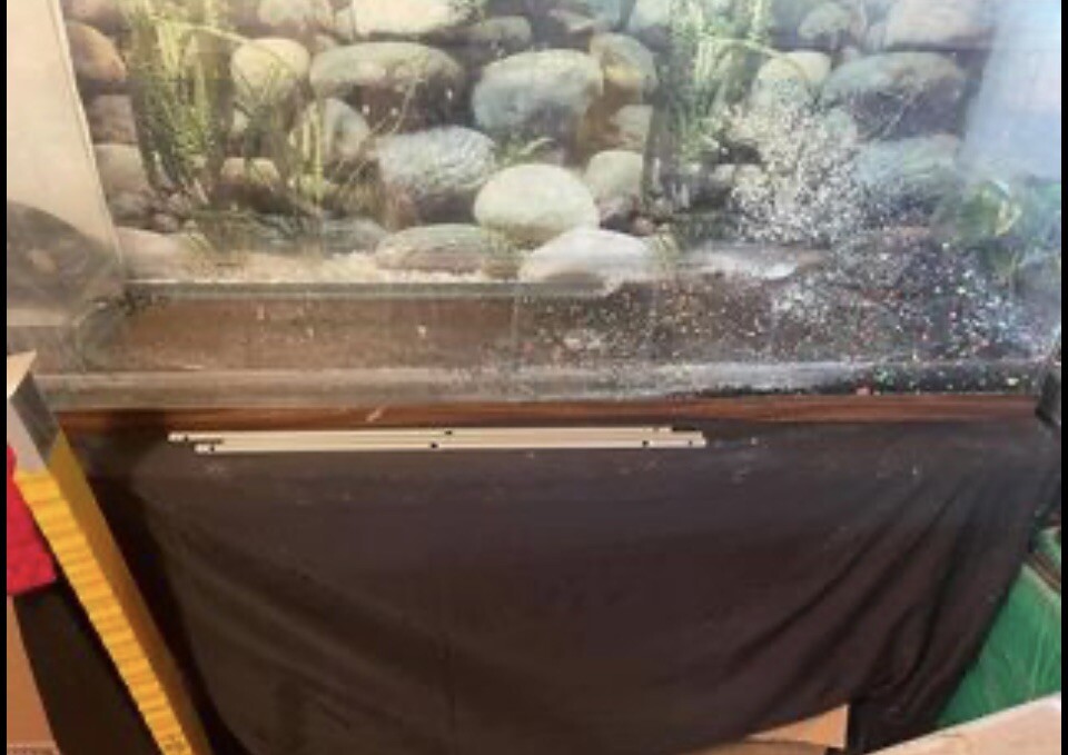 used fish tanks aquariums | eBay