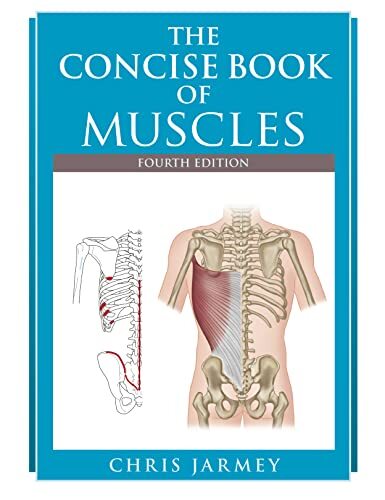 The Concise Book of Muscles By Chris Jarmey | eBay UK
