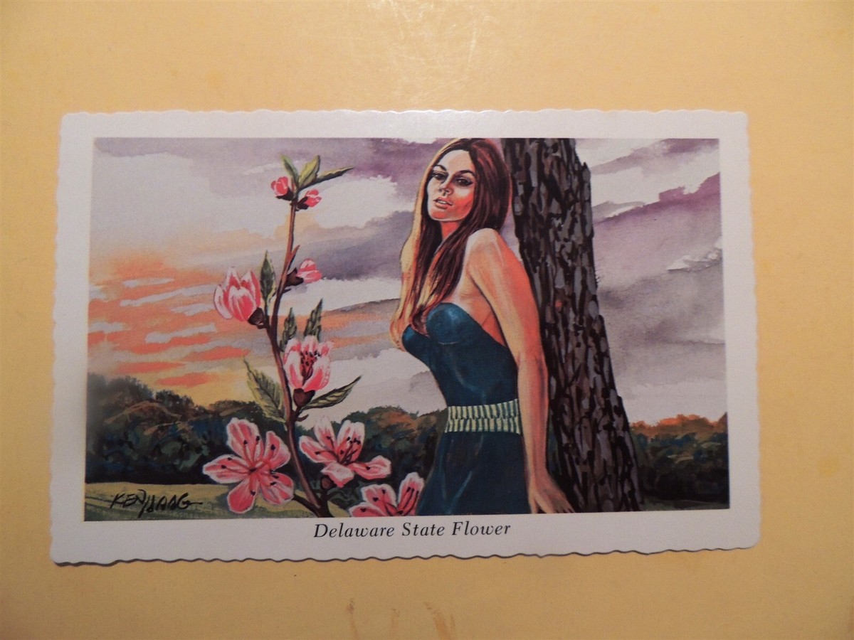 Delaware State Flower Coloring Page