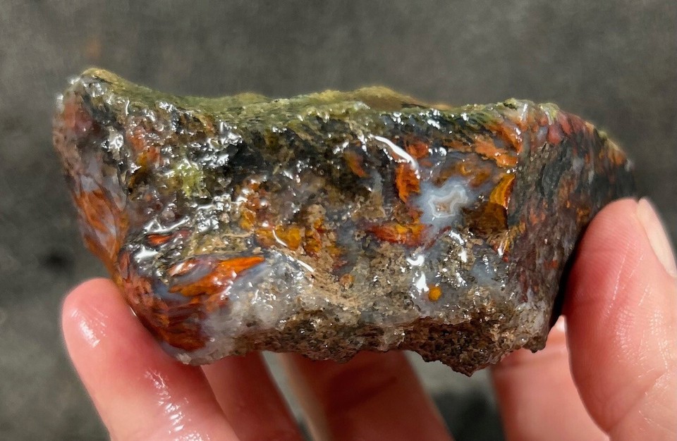 Wingate Pass Plume Agate Faced Rough - California! | eBay