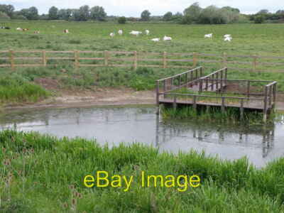 Photo 6x4 Pond dipping platform by Mare Fen Church End Wild life pond ...