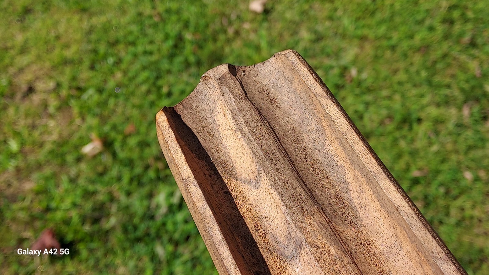 LC Smith 12ga Semi Inletted BEAVERTAIL FOREND - READ DESCRIPTION | eBay