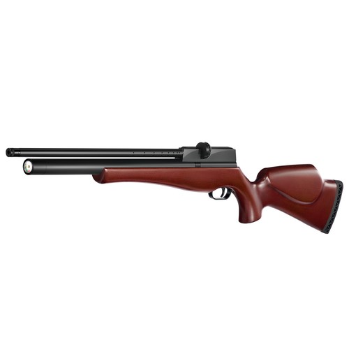 PINTY 800 FPS PCP Pellet Gun Air Rifle.22 Caliber Pellet Air Rifle 9 ...