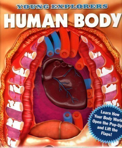 Young Explorers: Human Body (Pop-up Book) by anon Book The Fast Free ...