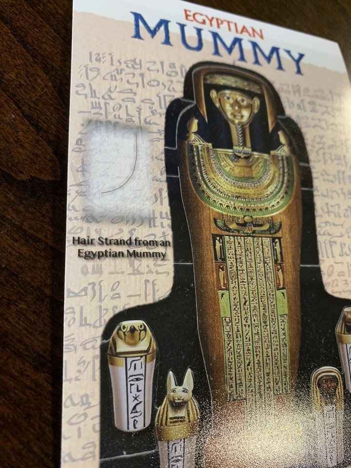 The Mummy Hair Strand Lock Relic Egypt Historic Egyptian Mini Museum ...